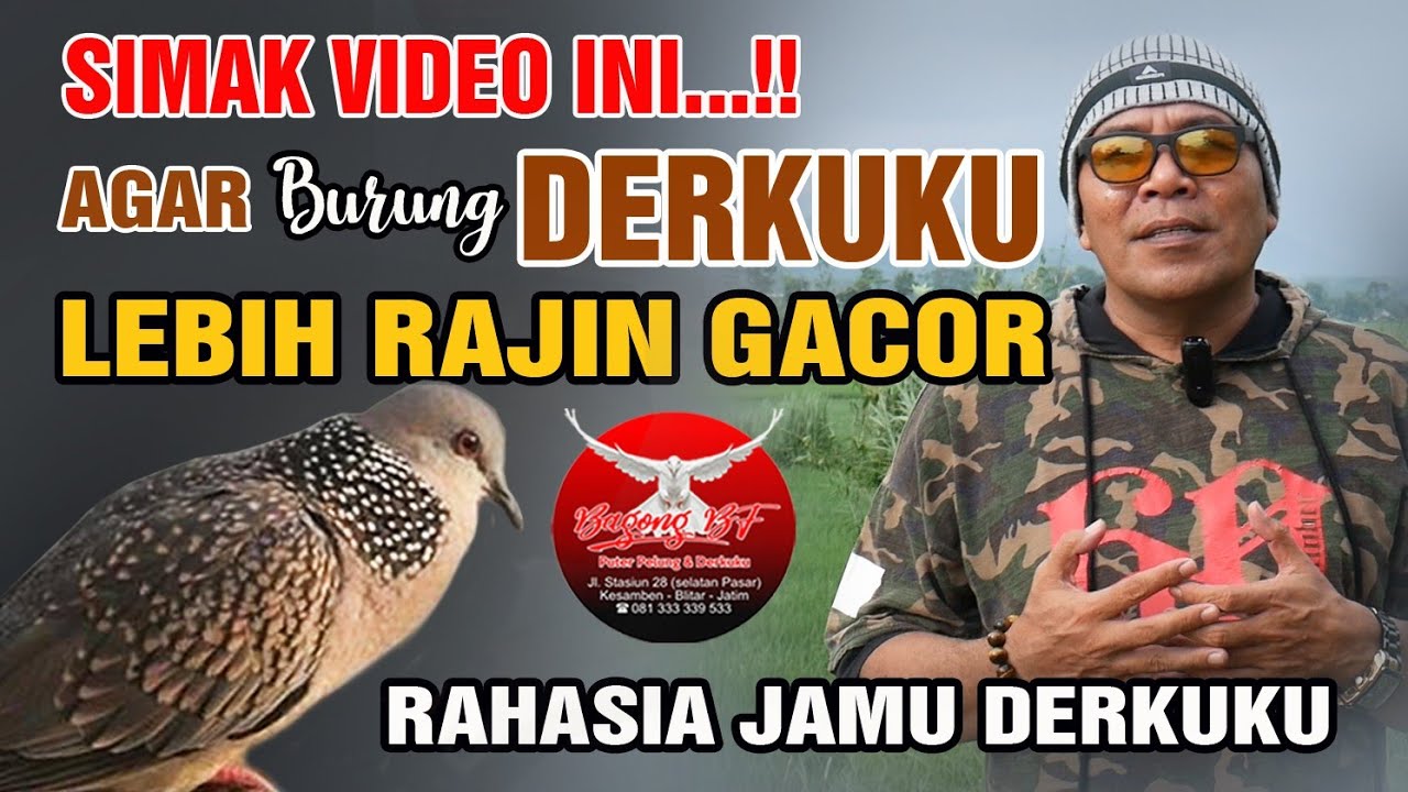 Cara Membuat JAMU Burung DERKUKU supaya GACOR ( MANGGUNG ) - YouTube