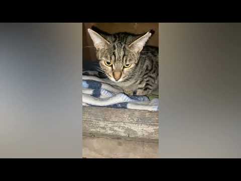 Sen Çok Güzel Annesin…