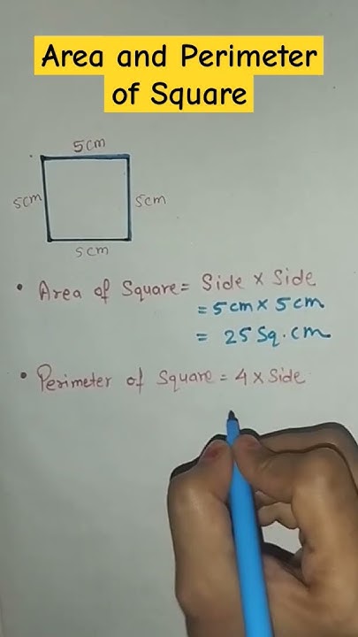 Area and Perimeter of square#maths #viralshort #shorts#short - YouTube