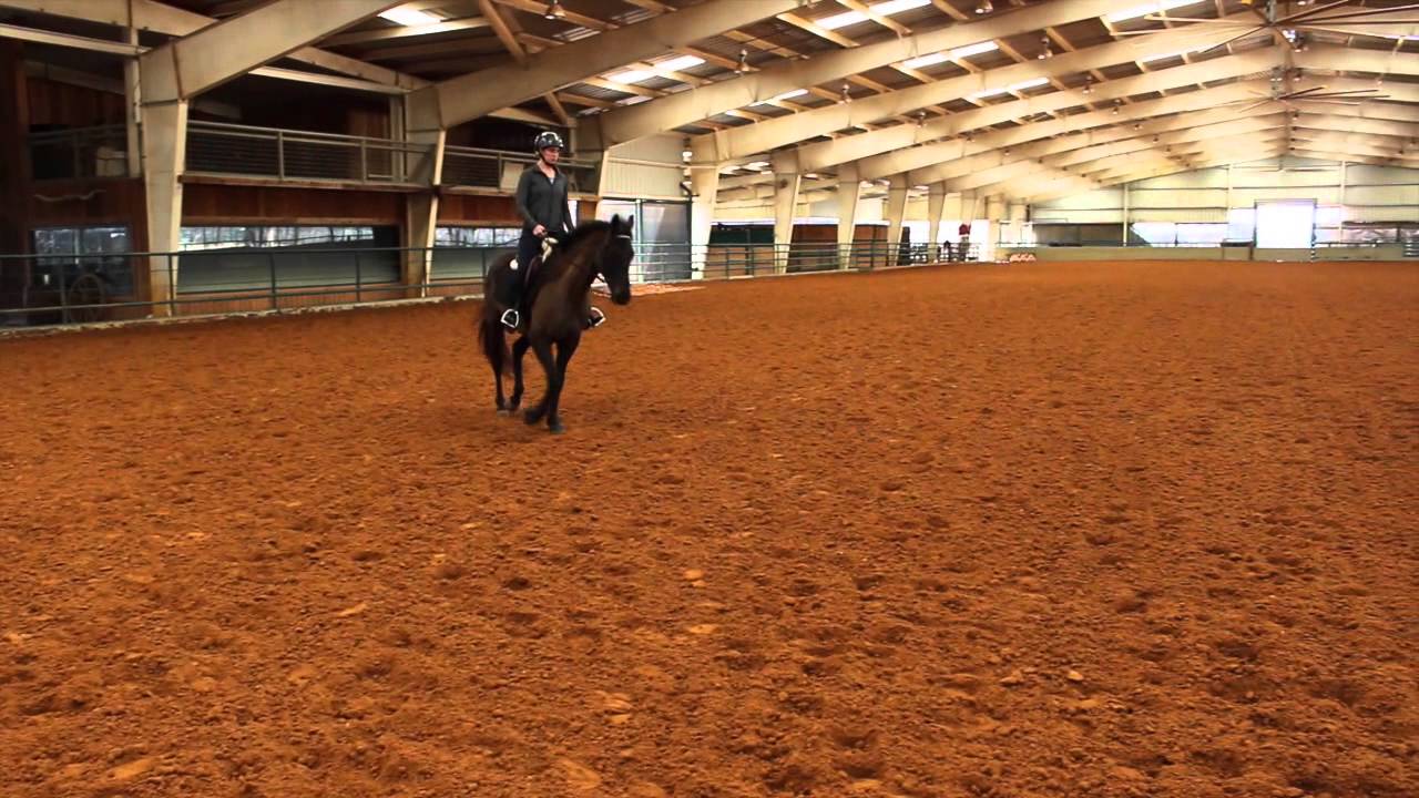 Darley Flying Start Riding Video - YouTube