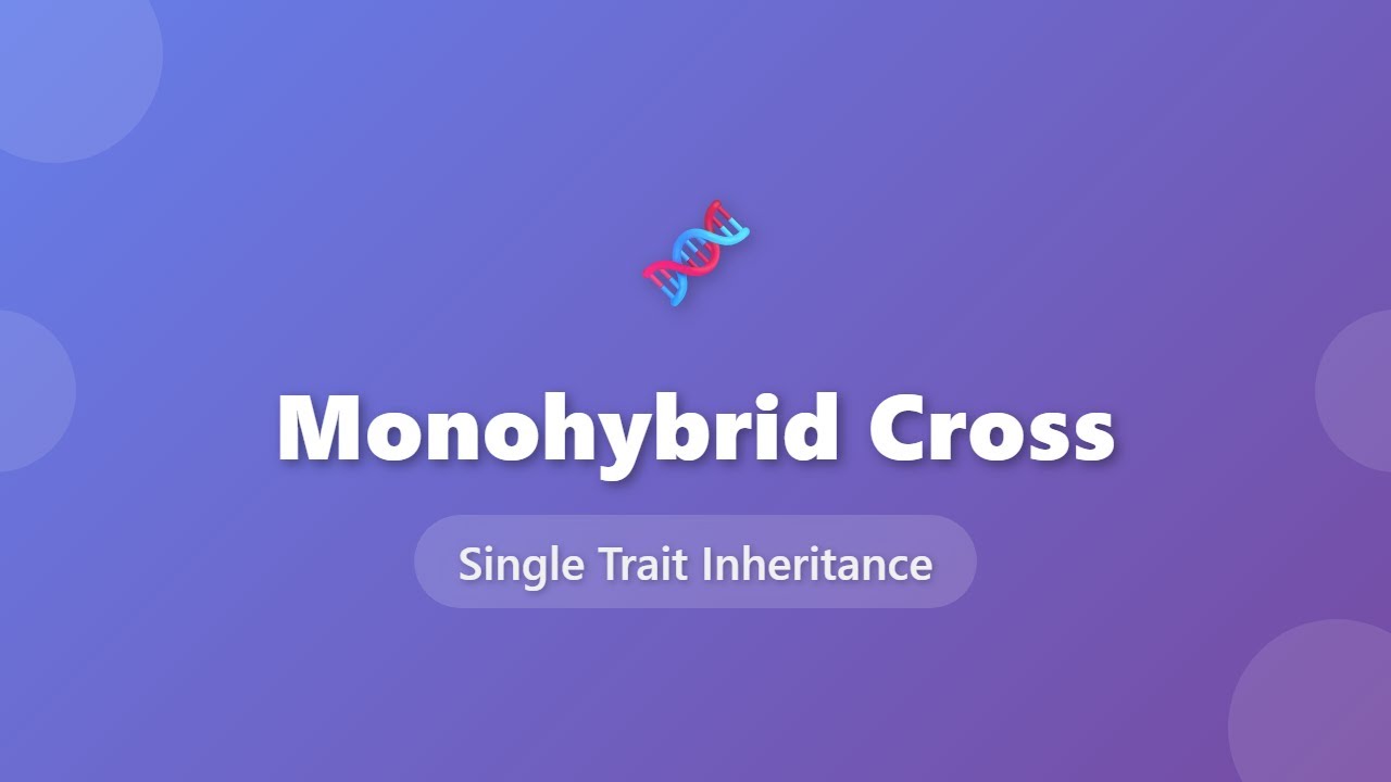 Monohybrid Cross Explained: Single Trait Inheritance | Genetics Basics ...