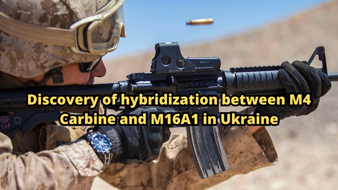Discovery of hybridization between M4 Carbine and M16A1 in Ukraine ...