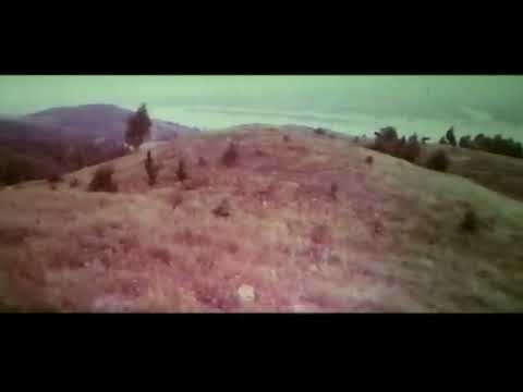 Qərib cinlər diyarında Vətəndir