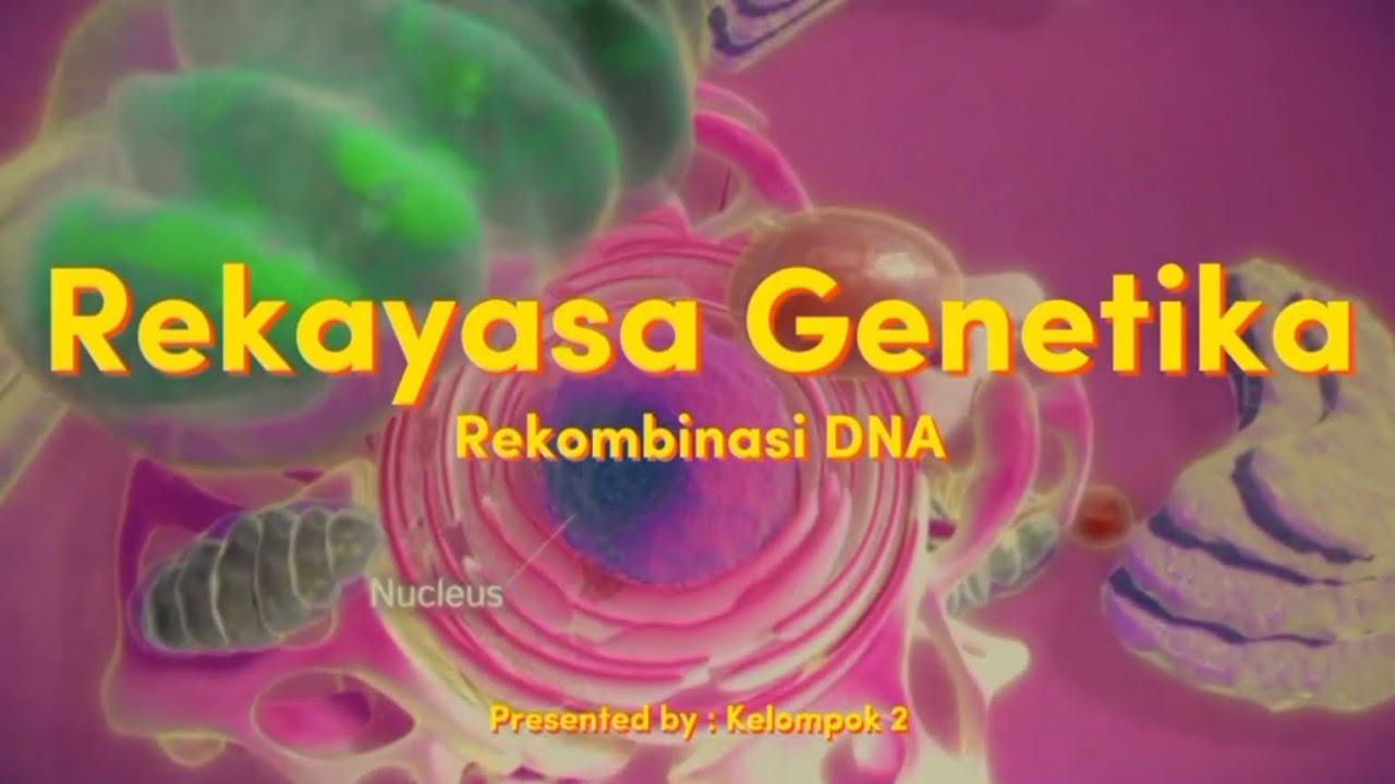 Rekayasa Genetika || Rekombinan DNA dalam bidang Peternakan - YouTube