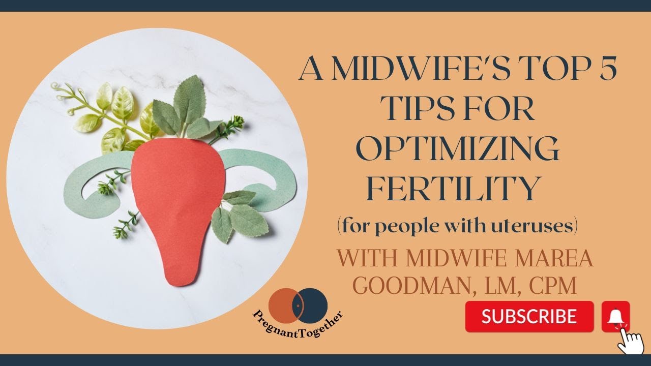 A midwife's 5 main tips for optimizing fertility (for people with ...