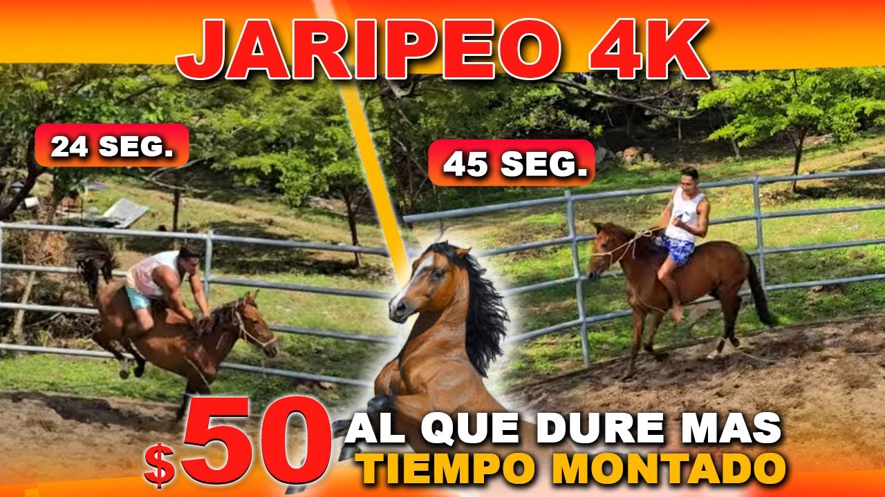 EL JARIPEO 4K. Julio les dio clases de como se monta un caballo. JILO ...