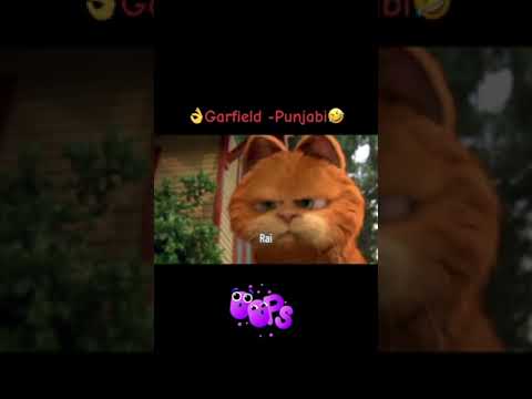 Garfield Punjabi
