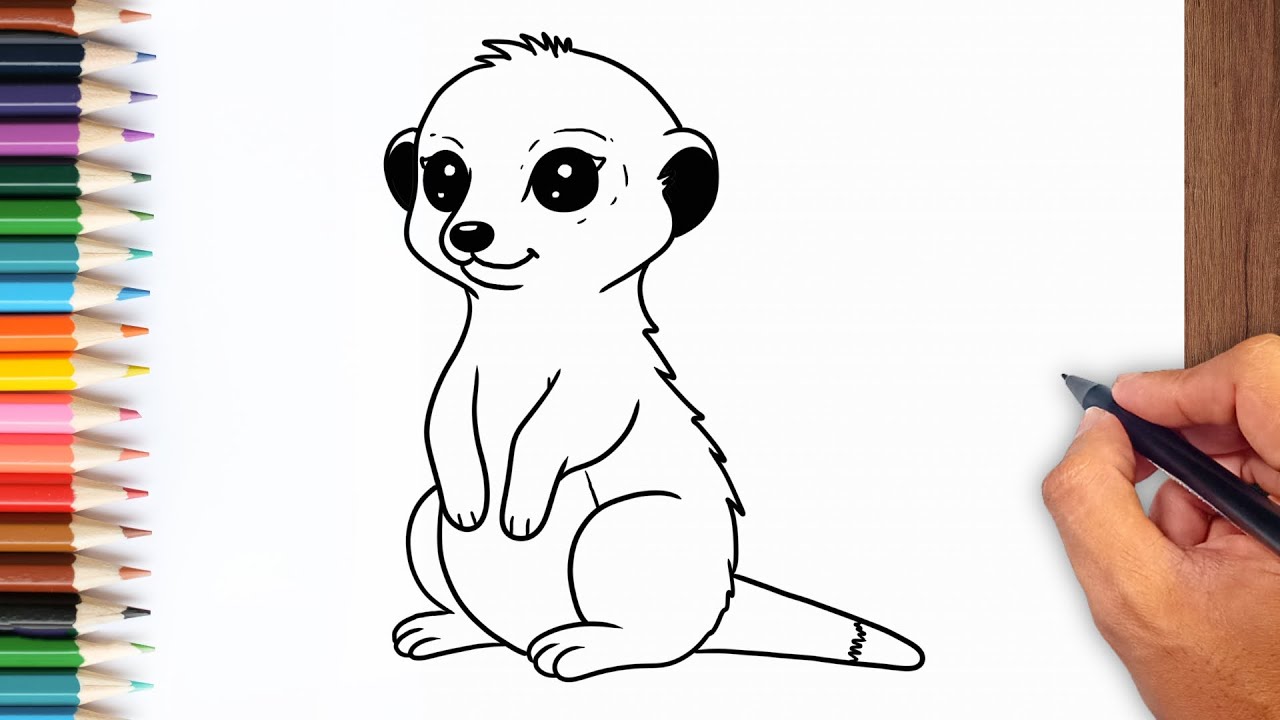 How to draw Baby Meerkat step by step - Cute Meerkat Drawing Ideas ...