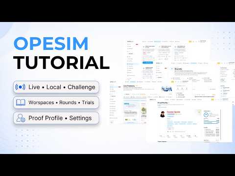 Opesim Interface Walkthrough