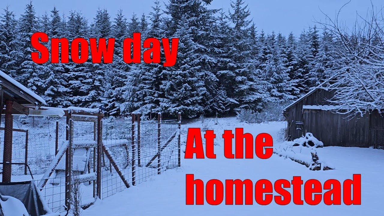 Oh boy it snowed again! - YouTube