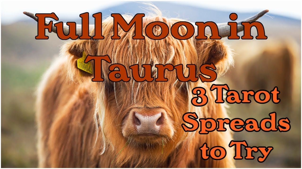 3 Tarot Spreads for Full Moon in Taurus - YouTube