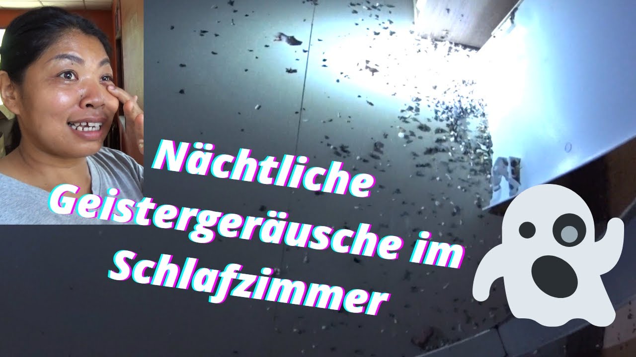 Geräusche In Der Wand Nachts