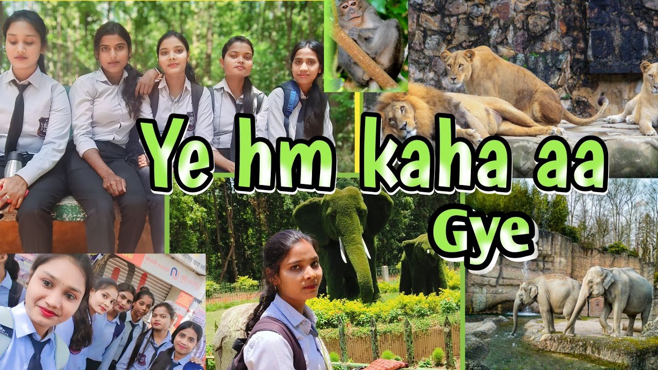 ye college Wale hame kaha le aaye 😃😃 || My new vlogs - YouTube