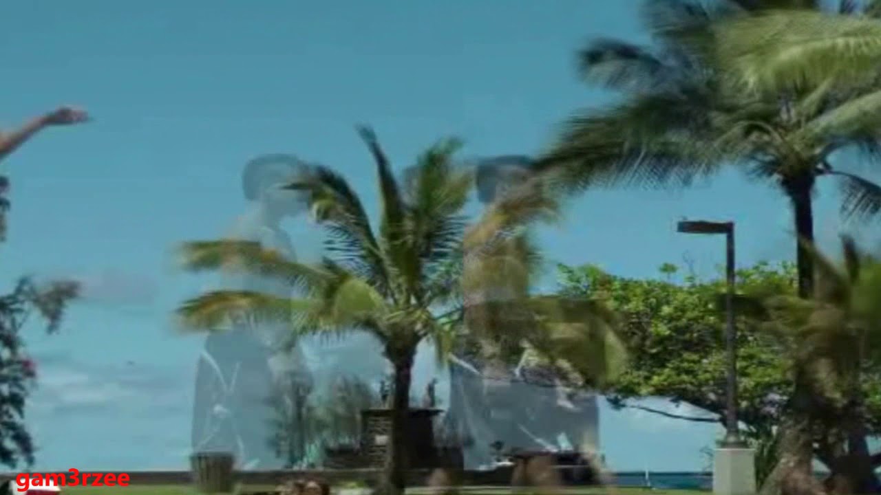 Palm Trees - TIME-LAPSE - YouTube