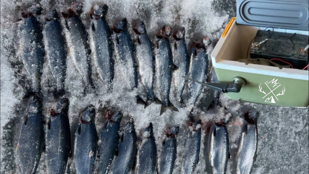 HOW TO MAKE A JIGGING MACHINE FOR KOKANEE SALMON - YouTube