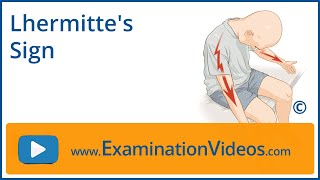 Lhermitte S Sign Test