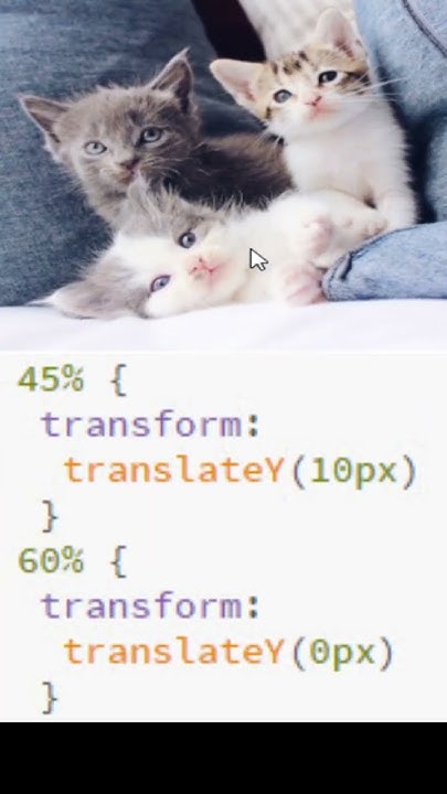 CSS Sequential Animations - YouTube