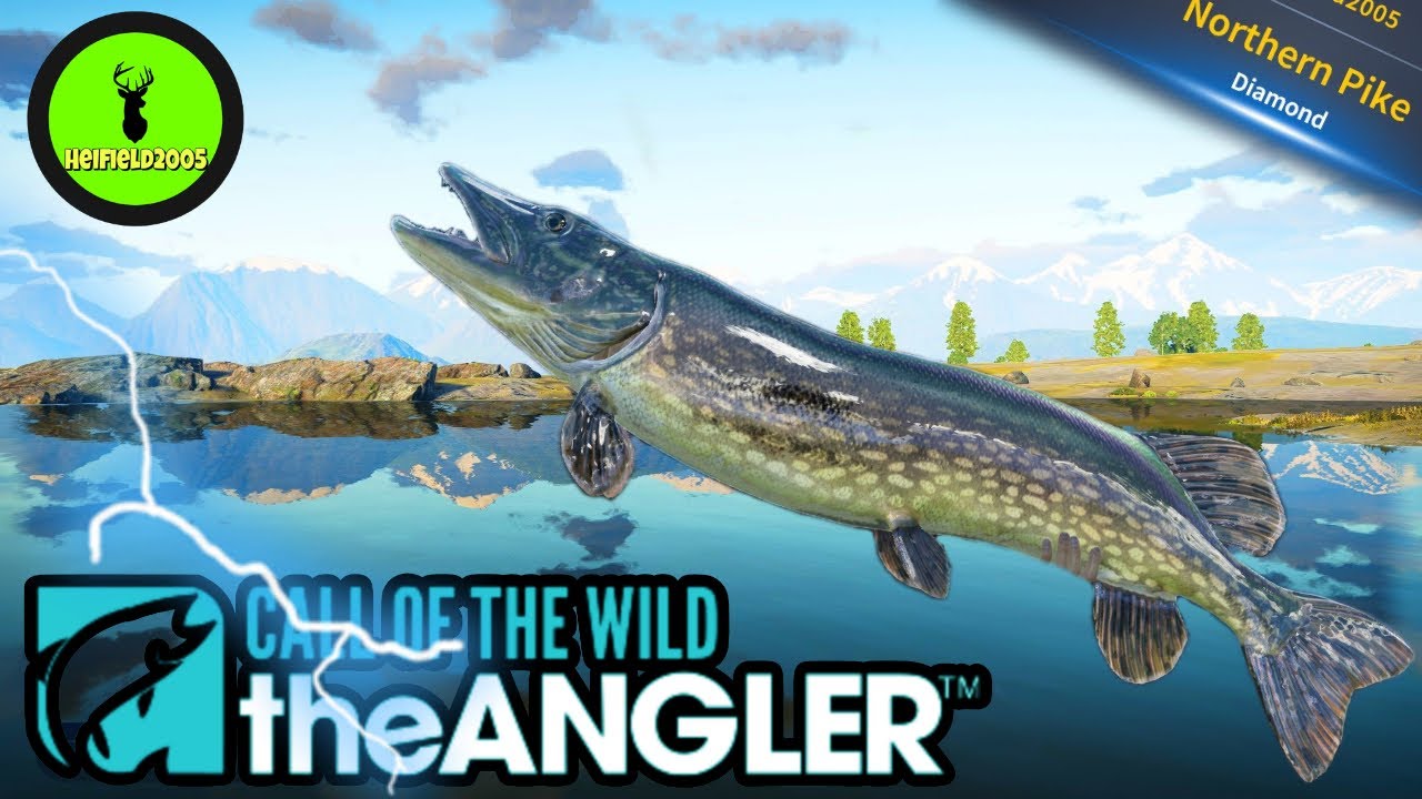 2 Diamond Pike On Stream Call Of The Wild The Angler - YouTube