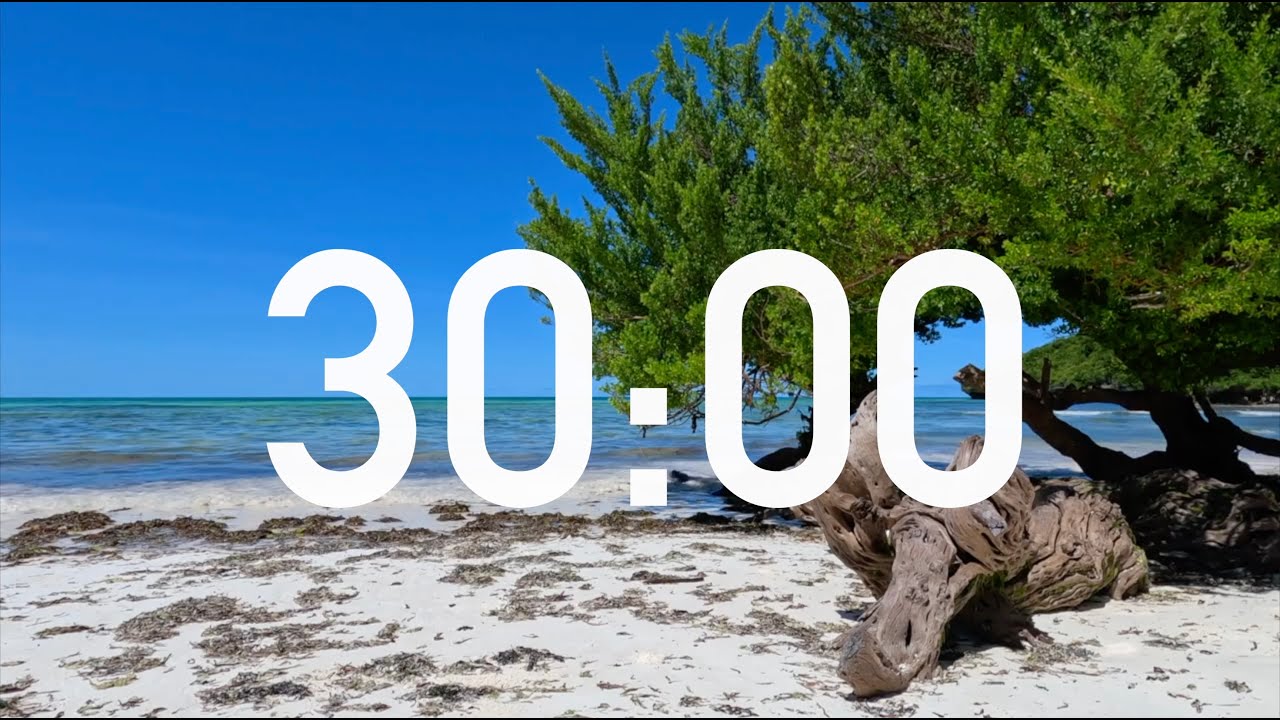 30 Minute Timer - Ambient Summer Vibe with Tropical Ocean Waves (4K ...