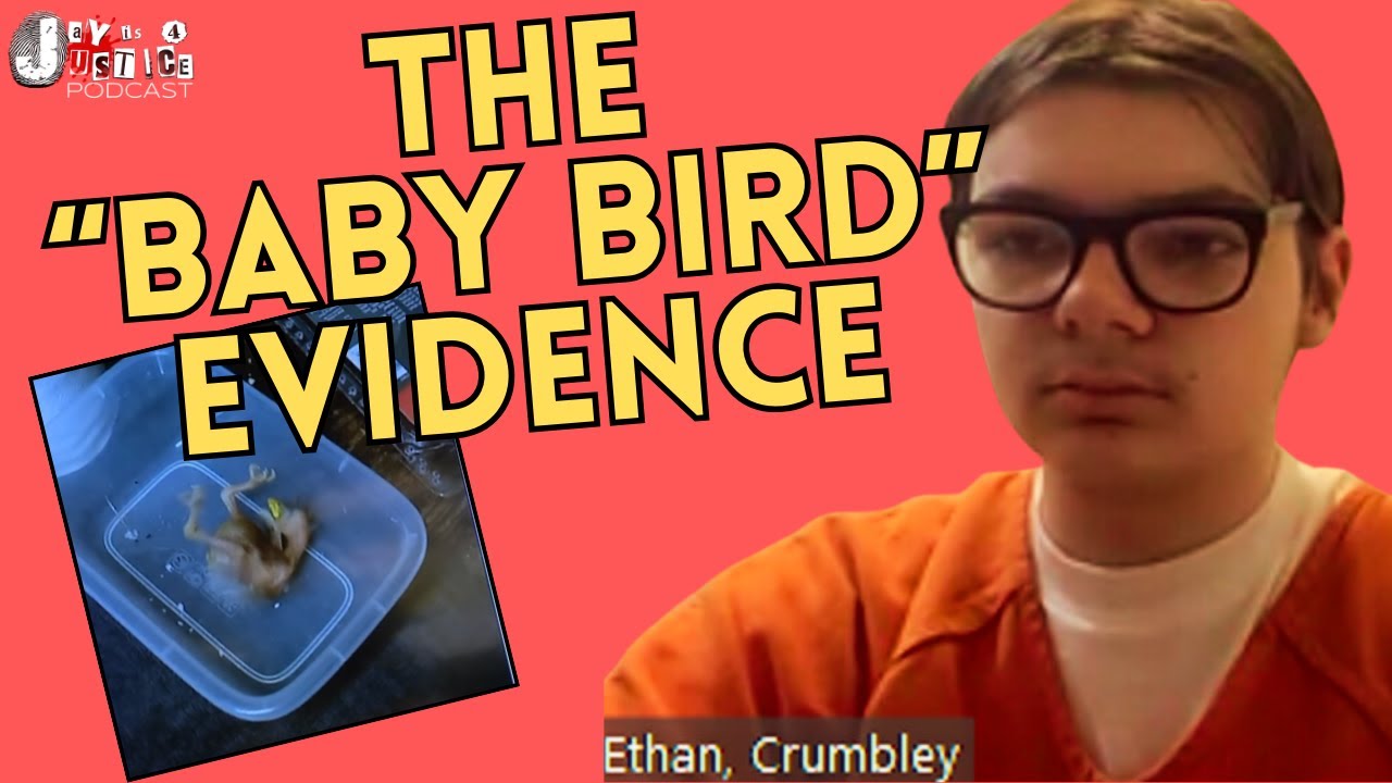 Ethan Crumbley's Unsettling Messages About Baby Birds! - YouTube