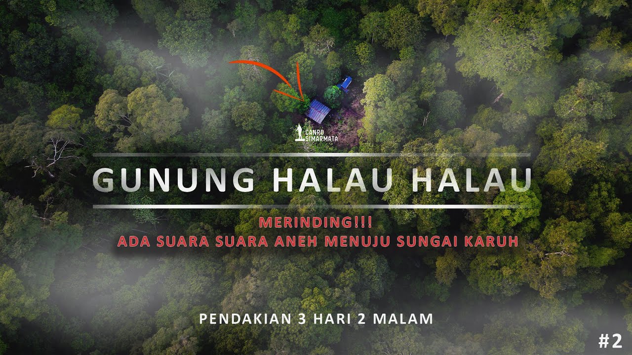PENDAKIAN GUNUNG HALAU HALAU VIA DESA KIYU | MISTERI GUNUNG HALAU HALAU ...