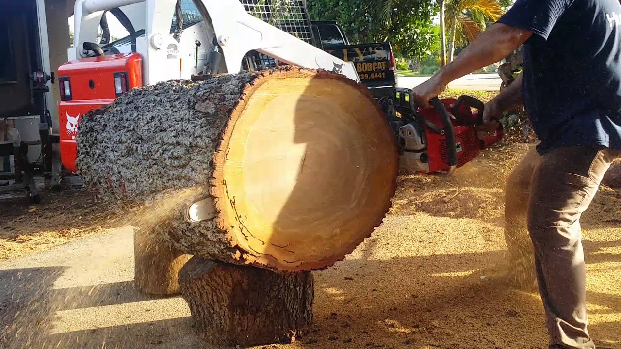 SOLO 681 chainsaw - YouTube