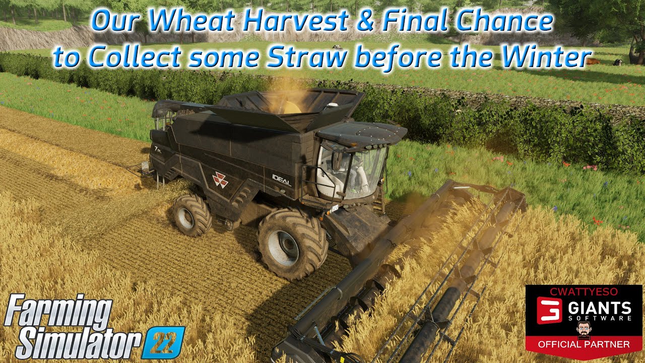 Ep 101 Wheat Harvest & Final Chance for Straw | FS22 Riverview Farm ...