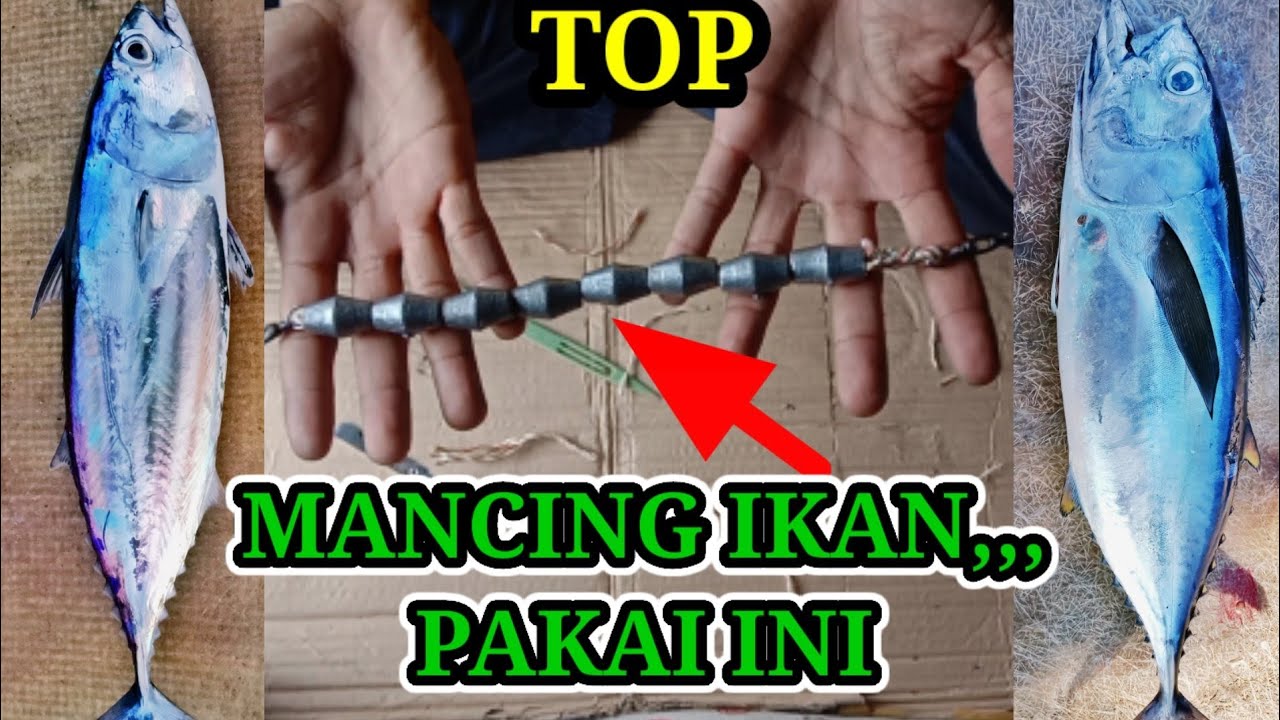 Cara Membuat Timah Pemberat Untuk Mancing Ikan Cakalang - YouTube