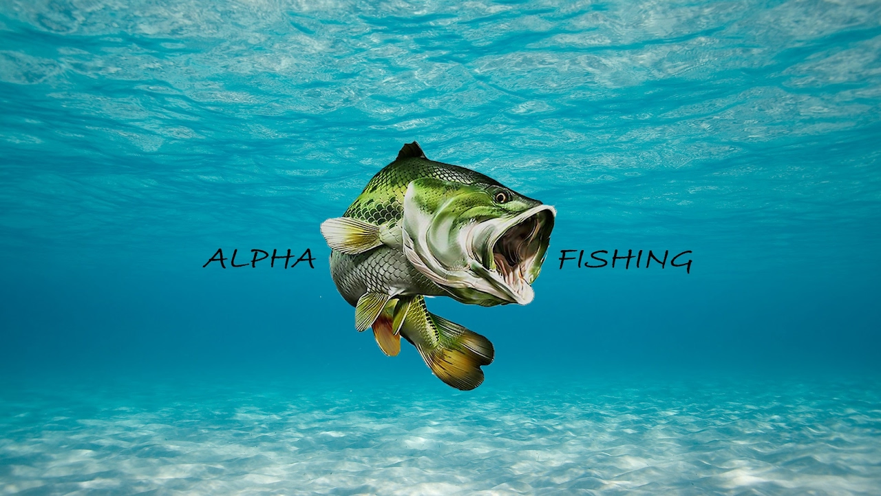 Alpha Fishing Live Stream - YouTube