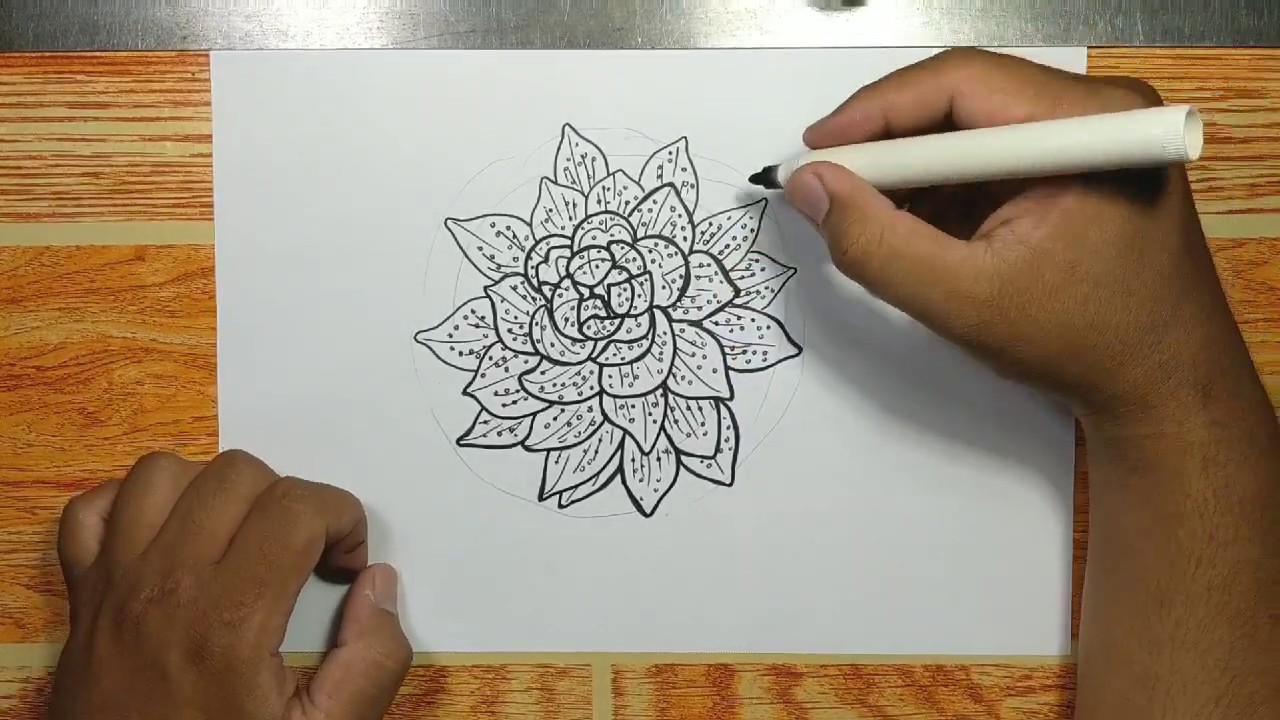 How to draw SUCCULENT ILLUSTRATION #1 step by step - YouTube