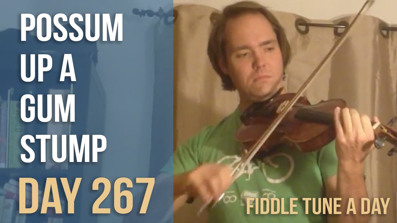 Possum Up a Gum Stump - Fiddle Tune a Day - Day 267 - YouTube