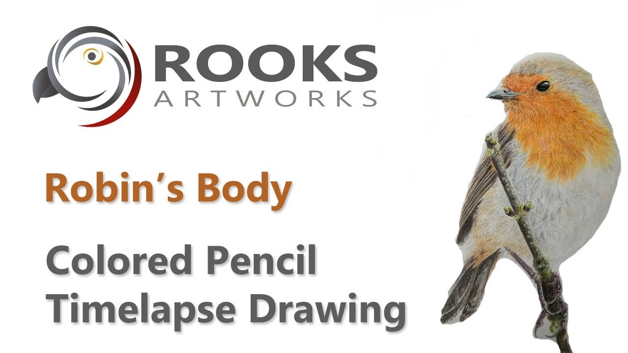 Time-lapse: Drawing a robin's body with colored pencils - YouTube