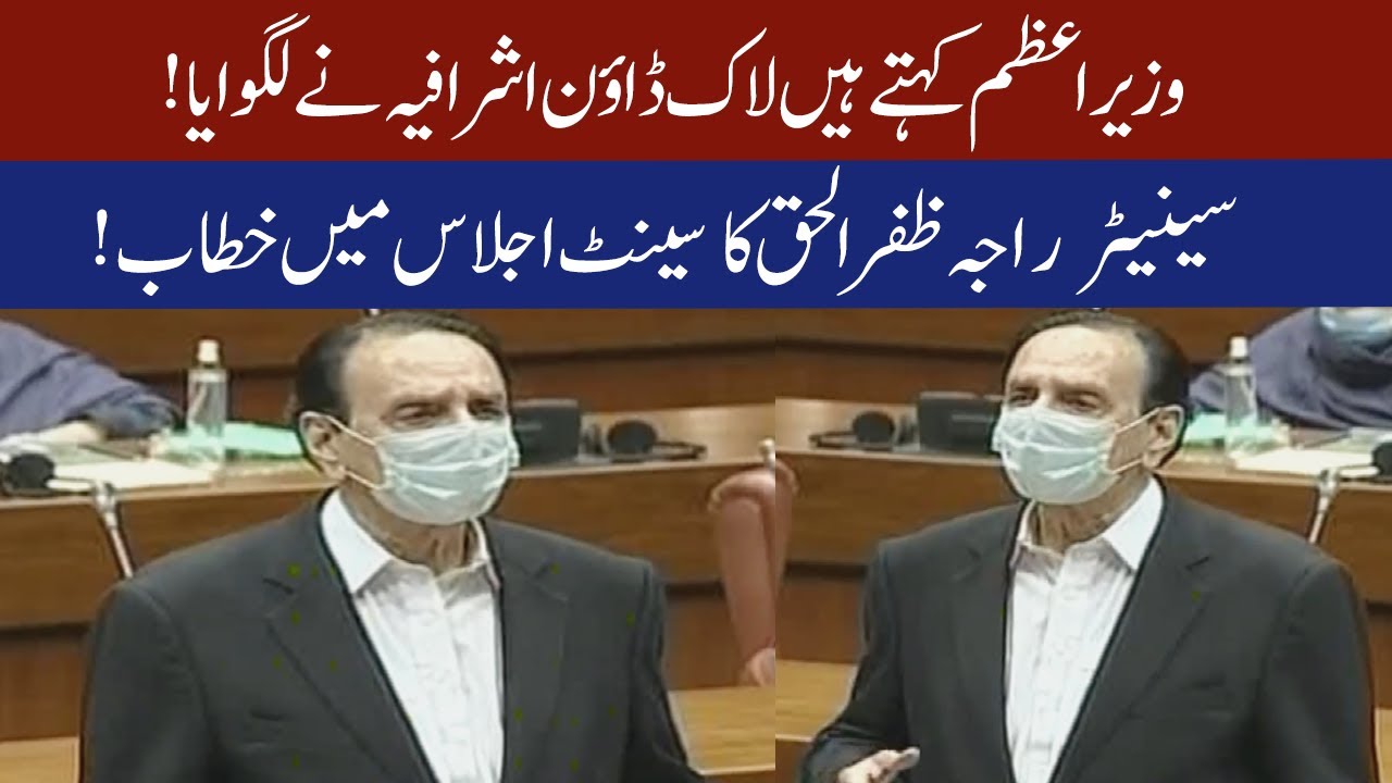 Raja Zafar ul Haq speech in Senate session today | 12 May 2020 ...