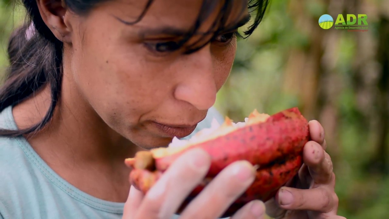 Silvia Bernal, campesina, ejemplo de la mujer colombiana - YouTube