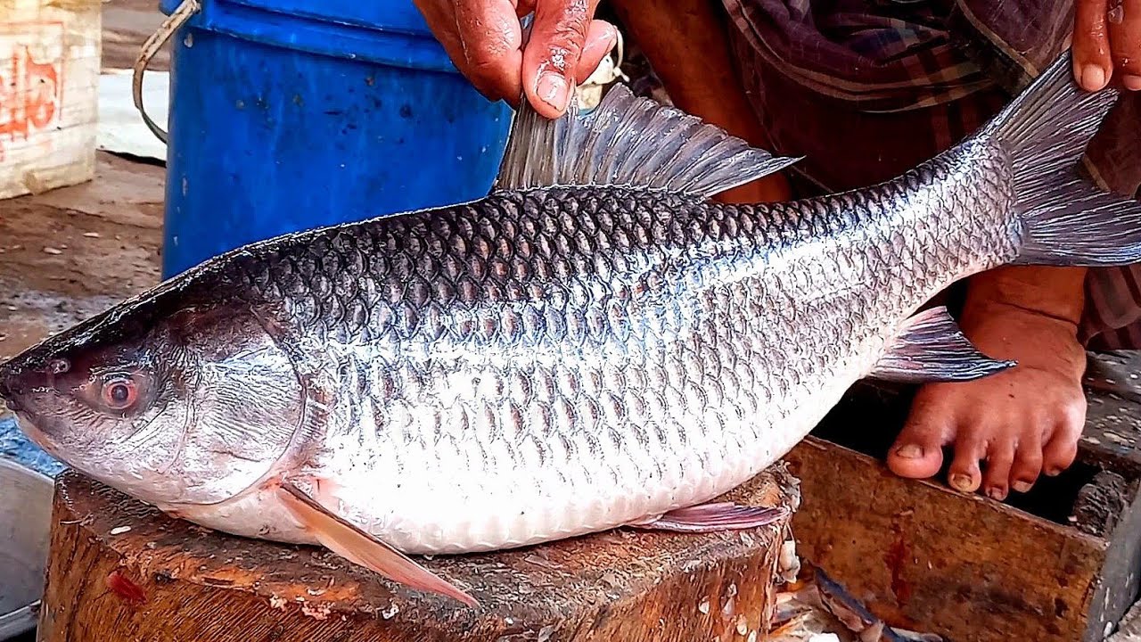 Incredible Live Giant Rohu Fish Cutting Skills | Fastest Rohu Fish ...