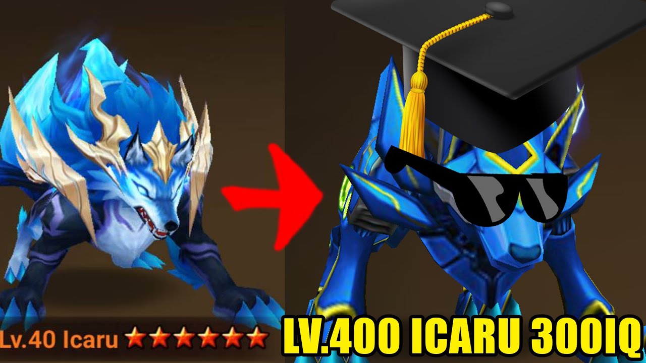 Comment optimiser ses Icaru au MAXIMUM ! Jouer sur l'ordre de jeu et ...