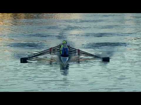 IMG 3463