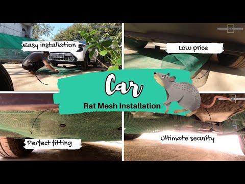 How To Protect Your Car From Rats and Rodents । Kia Carens Rat Mesh ...