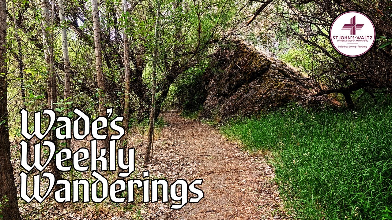 Wade's Weekly Wanderings: 2024 Reflection Edition - January 22, 2025 ...