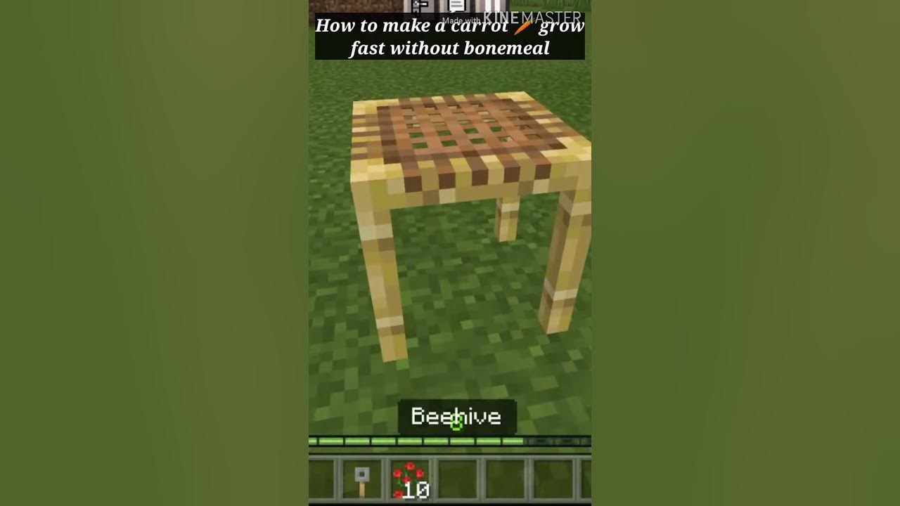 MINECRAFT HOW TO MAKE CROPS GROW FASTER WITHOUT BONEMEAL YouTube minecraft-how-to-make-crops-grow-faster-without-bonemeal-youtube