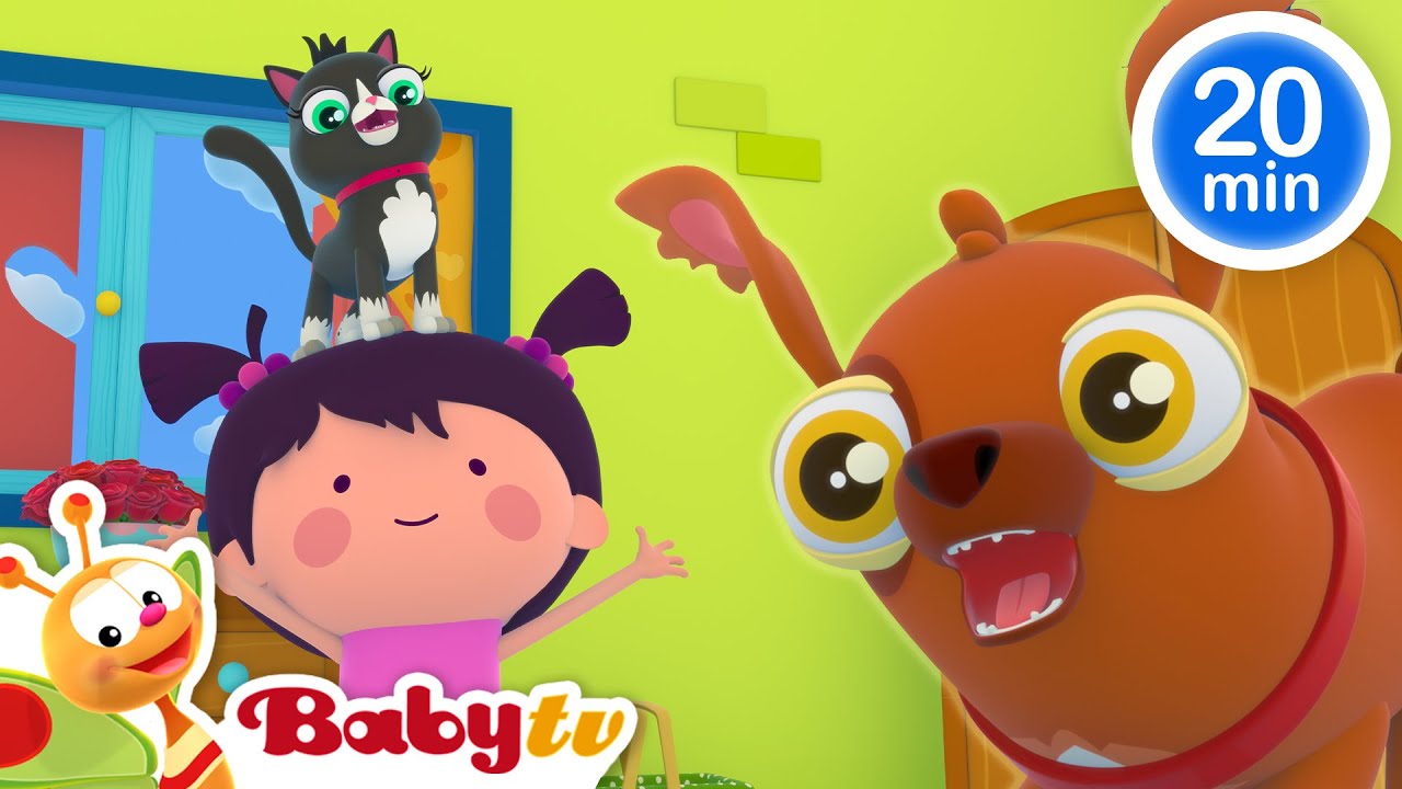 Itsy Bitsy Spider🕷️ + More Animal Kids Songs & Nursery Rhymes 🎵 @BabyTV ...