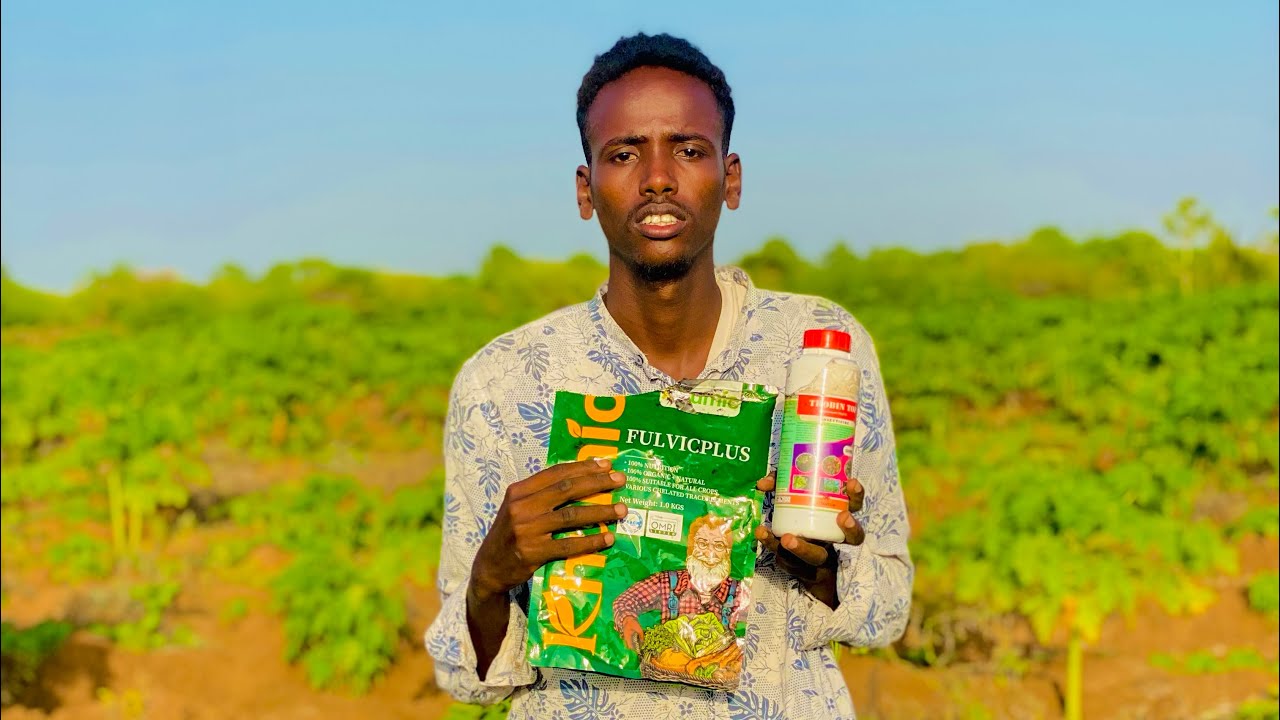 BABBAY BUFIS - YouTube