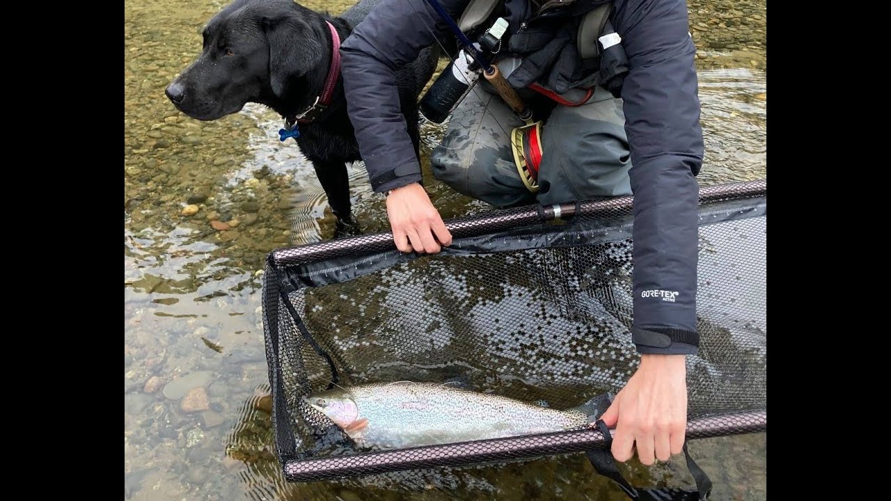 Alex Garnier: Proper Fish Handling and Catch and Release Techniques ...