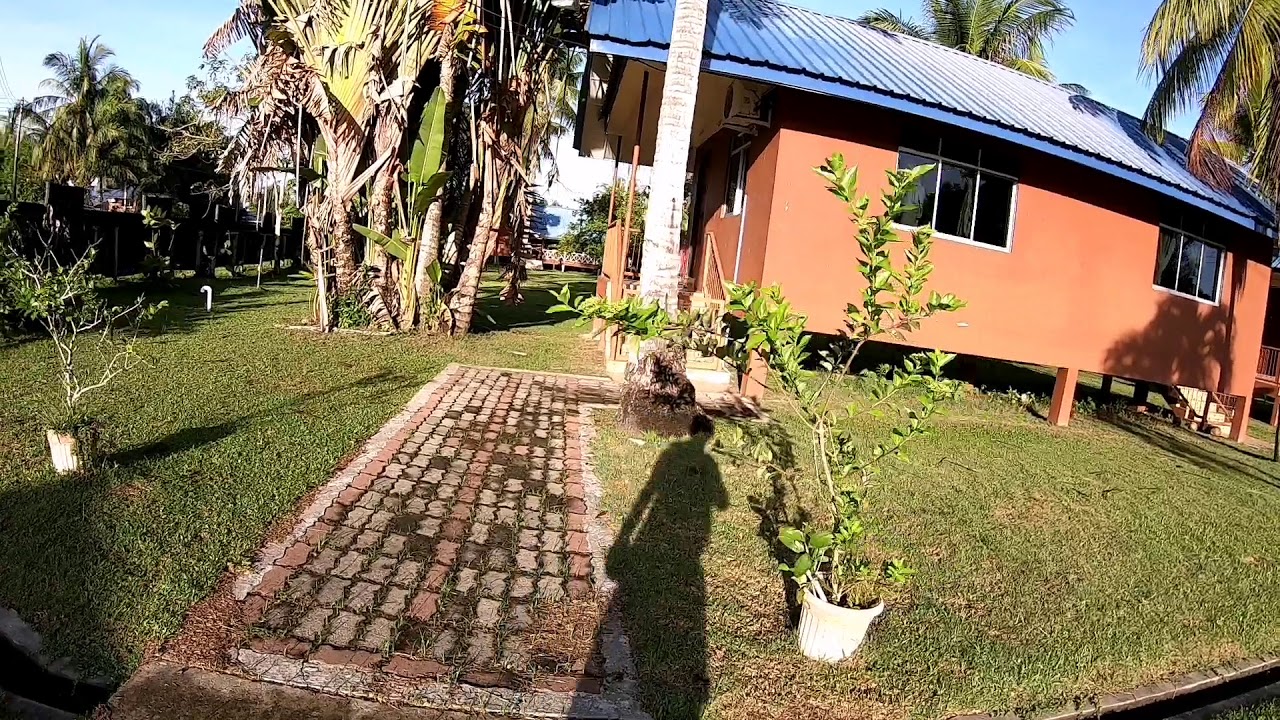 Turtle Garden Resort, Membakut, Sabah - YouTube