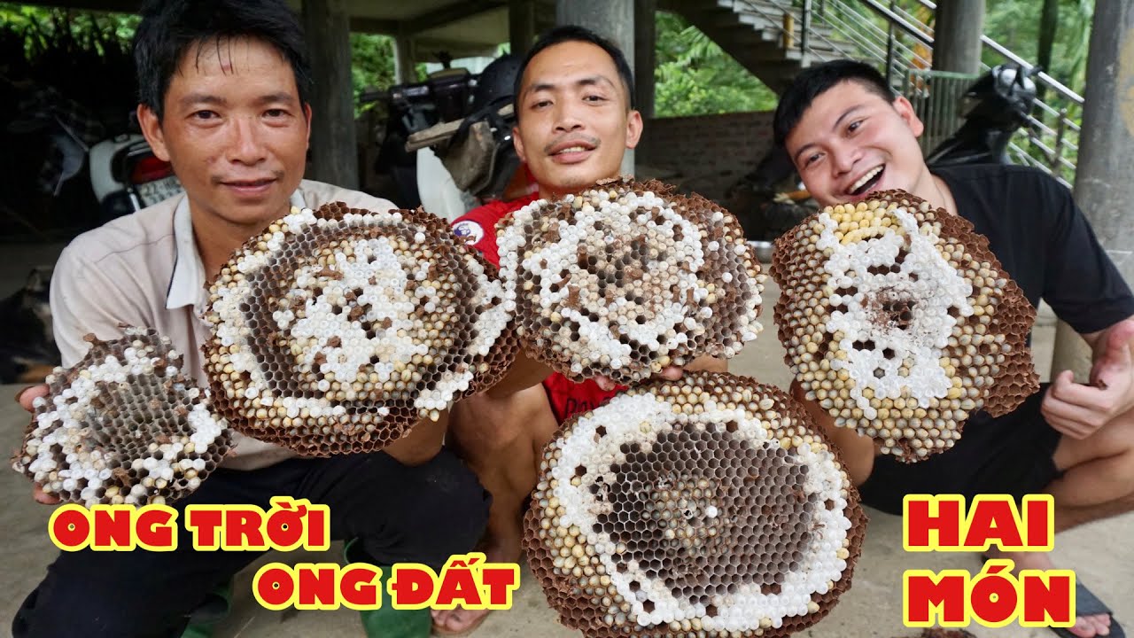 ONG ĐẤT CHUI LÀ NGHỆ , ONG TRỜI TẮM MĂNG CHUA , TUYỆT VỜI HAI MÓN QUÀ ...