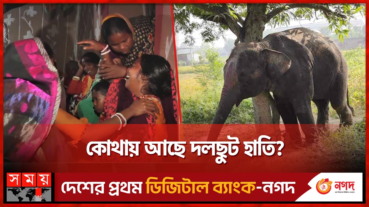 সার্কাসের হাতির আক্রমণে প্রাণ গেল শিশুসহ দুইজনের | Wild Elephants ...