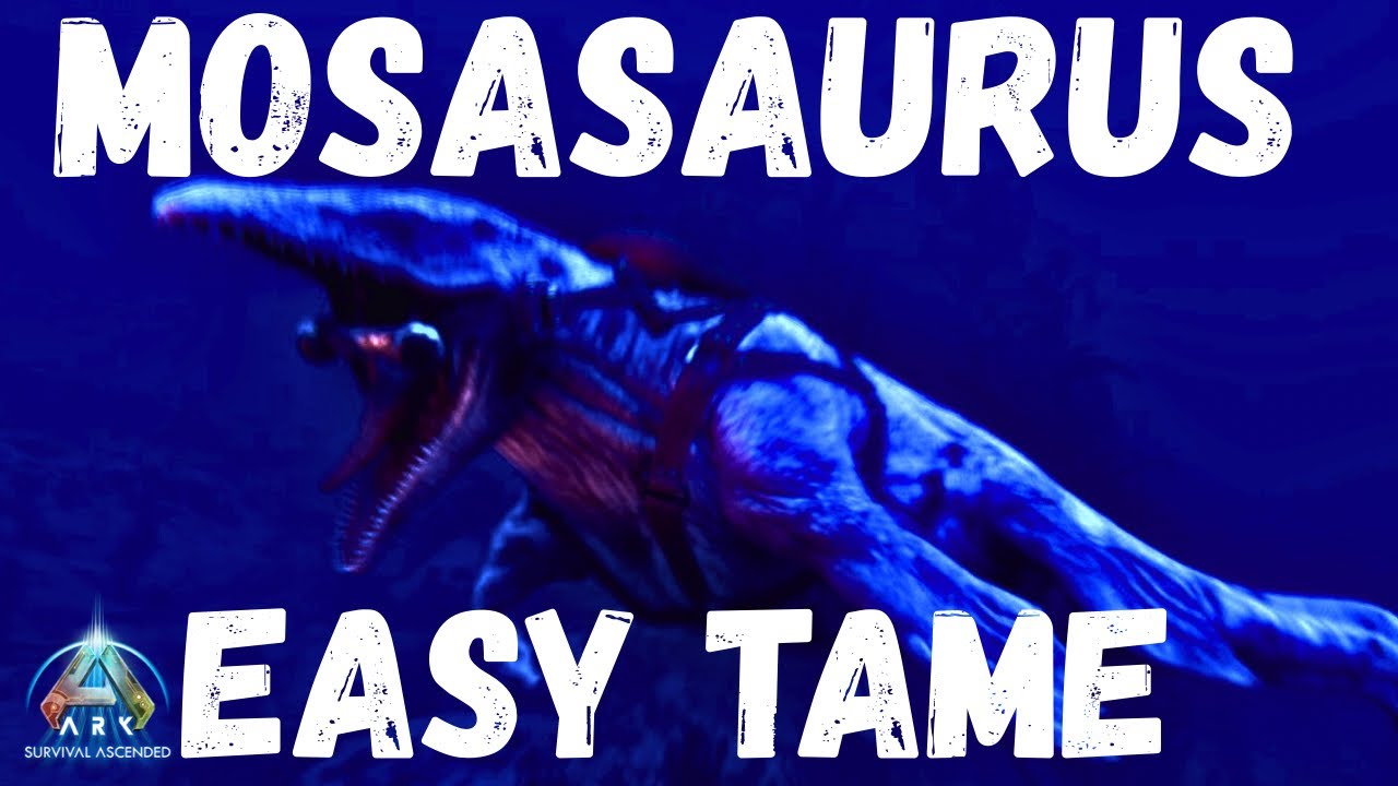 How to EASILY Tame a Mosasaurus in Ark Survival Ascended - YouTube