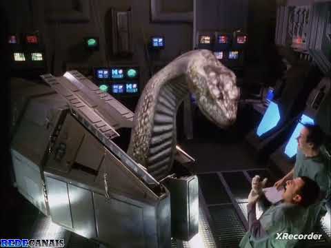 Python 2 A Cobra Assassina é um filme bem legal