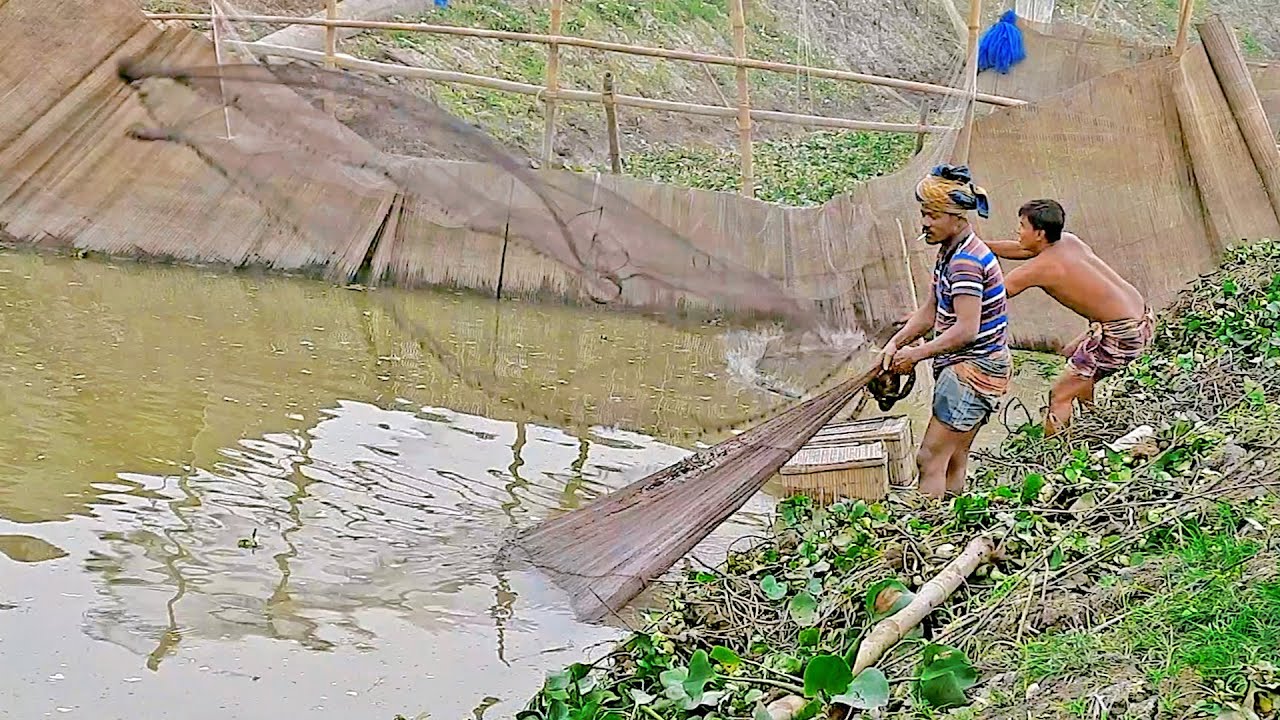 Fishing Using Casting Nets | Native Fishing with Nets in Village Canals ...