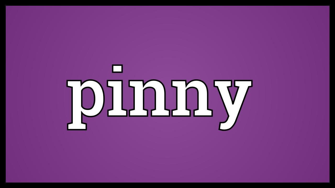 Pinny Meaning - YouTube